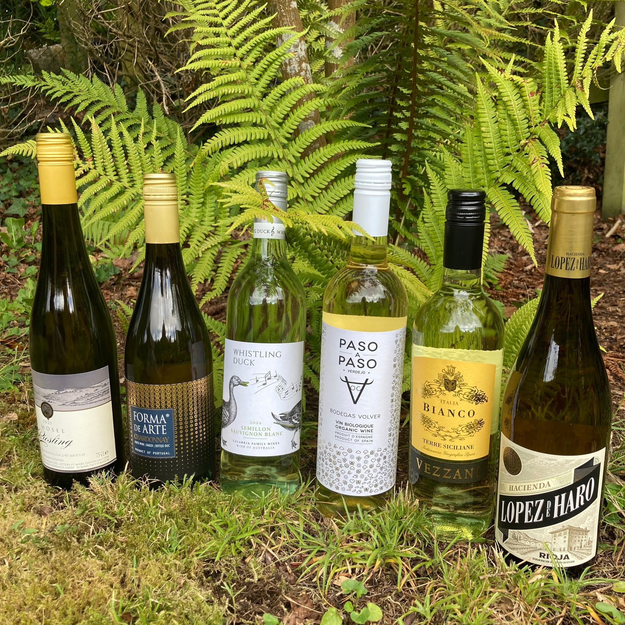 Christopher Piper Wines Ltd