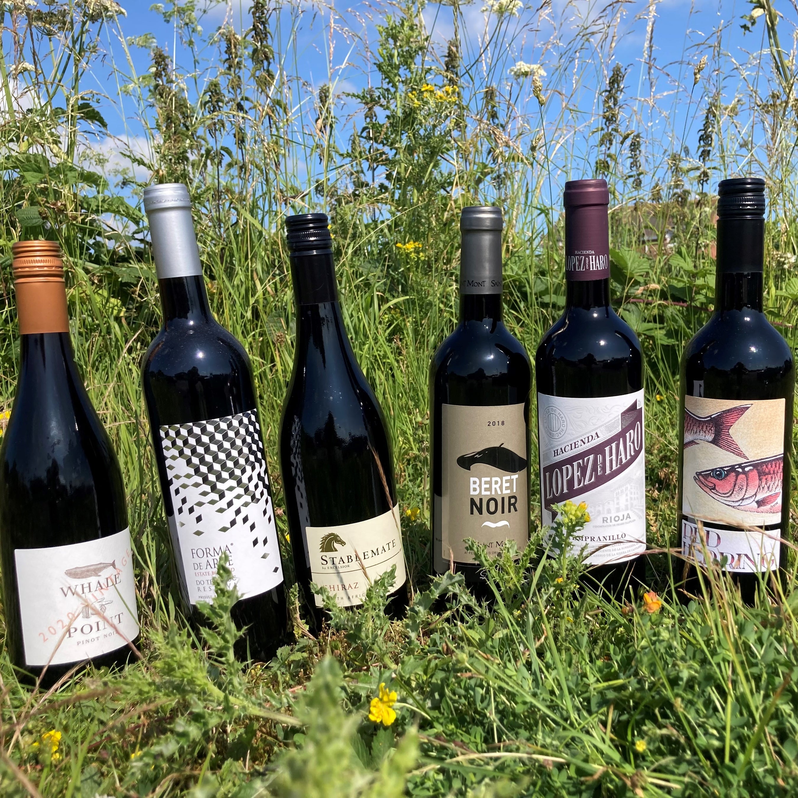 Christopher Piper Wines Ltd